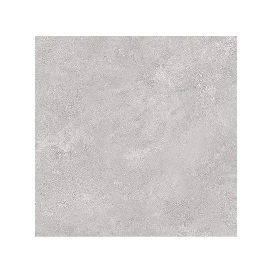 Rialto MEM SIL03N Silver Nature 60x60cm | Cebu Home and Builders Centre