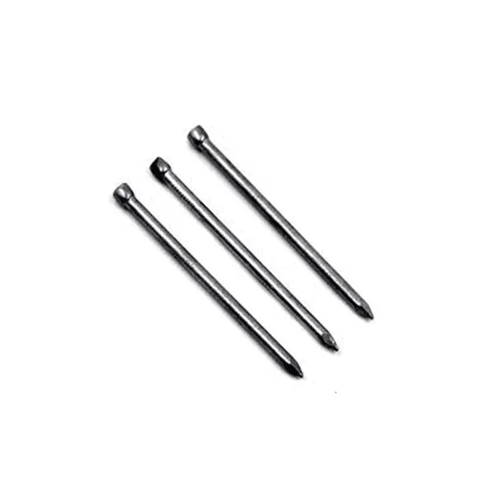 Finishing Nails 63MM (2-1/2IN) | Cebu Home and Builders Centre